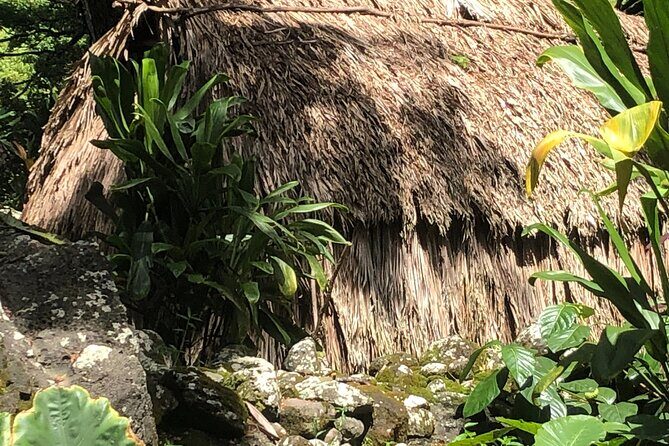 Circle Island tours - swim with turtles,Private & Small Group Tours - FAQ