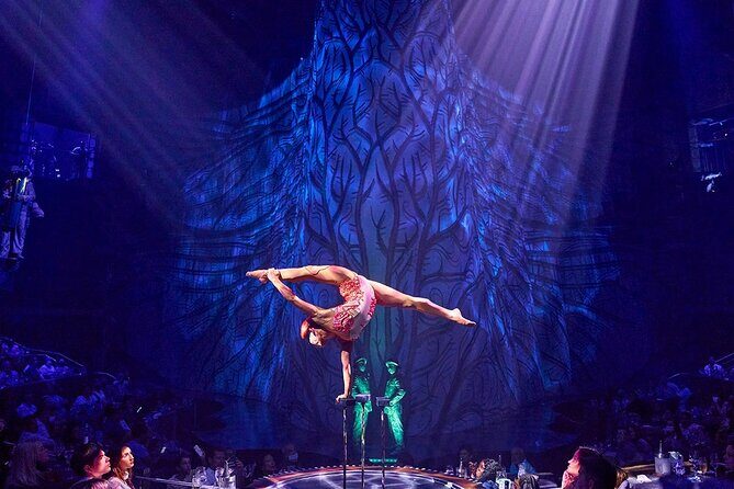 Cirque du Soleil JOYÀ Admission Tickets - Analyzing What to Expect: The Performance and Setting