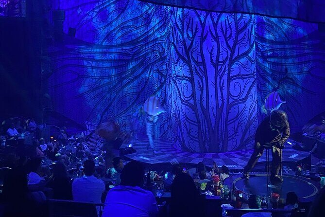 Cirque du Soleil JOYÀ in Vidanta Riviera Maya - The Experience at a Glance
