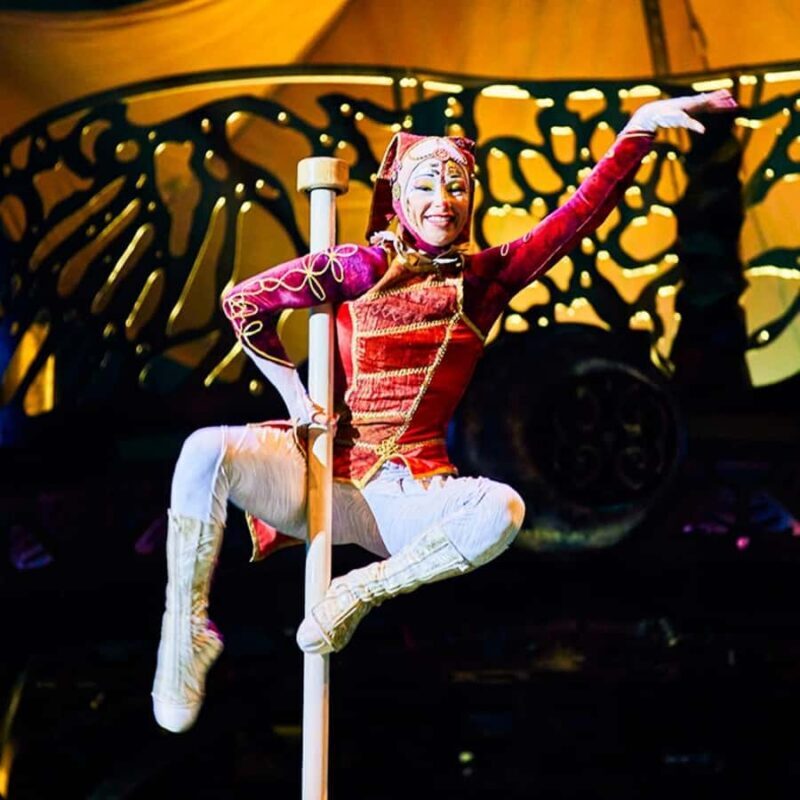 Cirque du Soleil KOOZA Show Ticket - Key Points