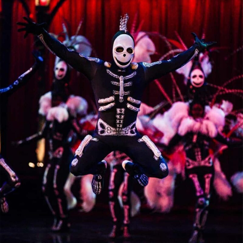 Cirque du Soleil KOOZA Show Ticket - Final Words: Is It Worth It?