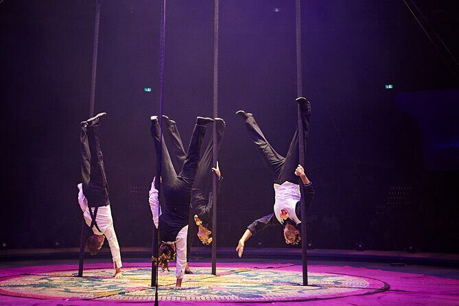 Cirque du Soleil LUDÕ  New Nayarit - The Sum Up