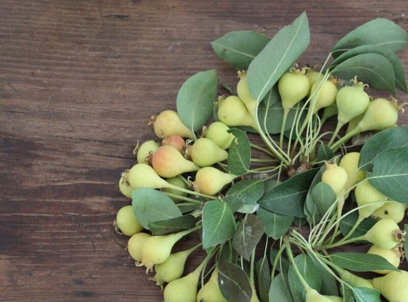 Cisternino: Make a soap with extra virgin olive oil - Cisternino: Make a soap with extra virgin olive oil – An Authentic Hands-On Experience in Apulia