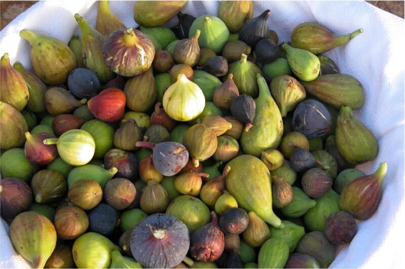 Cisternino: Make a soap with extra virgin olive oil - What’s Included and What’s Not