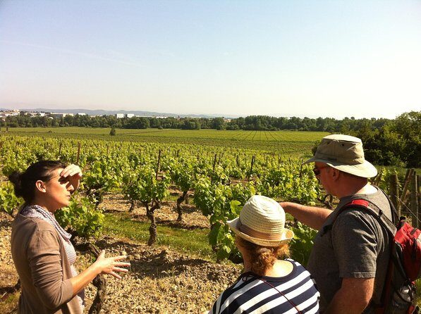 Cité de Carcassonne and Wine Tasting Private Day Tour from Toulouse - Key Points