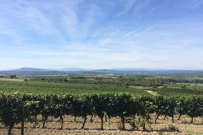 Cité de Carcassonne and Wine Tasting Private Day Tour from Toulouse - Who Will Love This Tour?
