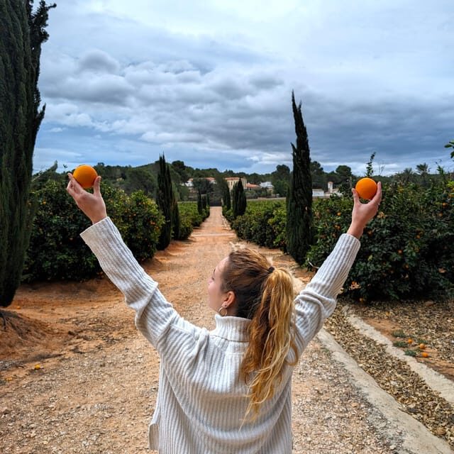 Citrus Treasures: Exploring Valencia's Orange Grove - An In-Depth Look at the Citrus Treasures Tour