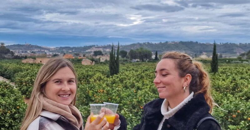 Citrus Treasures: Exploring Valencia's Orange Grove - Who Should Consider This Tour?