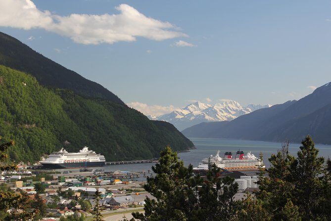 City and Mountain Summit Shore Excursion in Skagway - Key Points