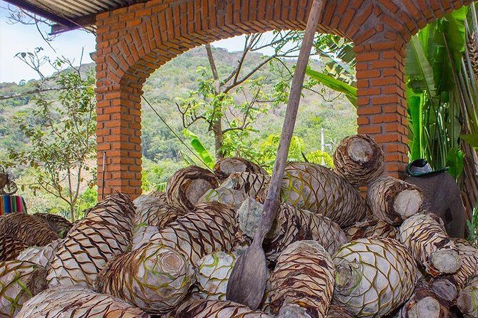 City and Tequila Tour in Puerto Vallarta - The Itinerary Breakdown: What You Can Expect
