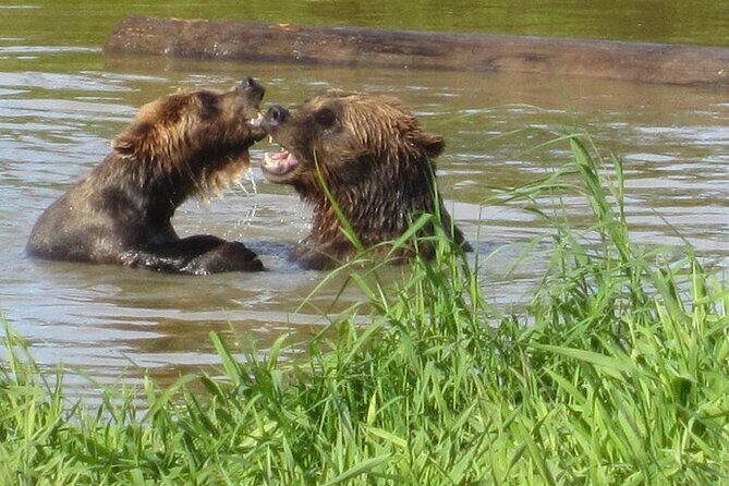 City and Wildlife Conservation Center Tour in Anchorage, Alaska - Why This Tour Offers Great Value