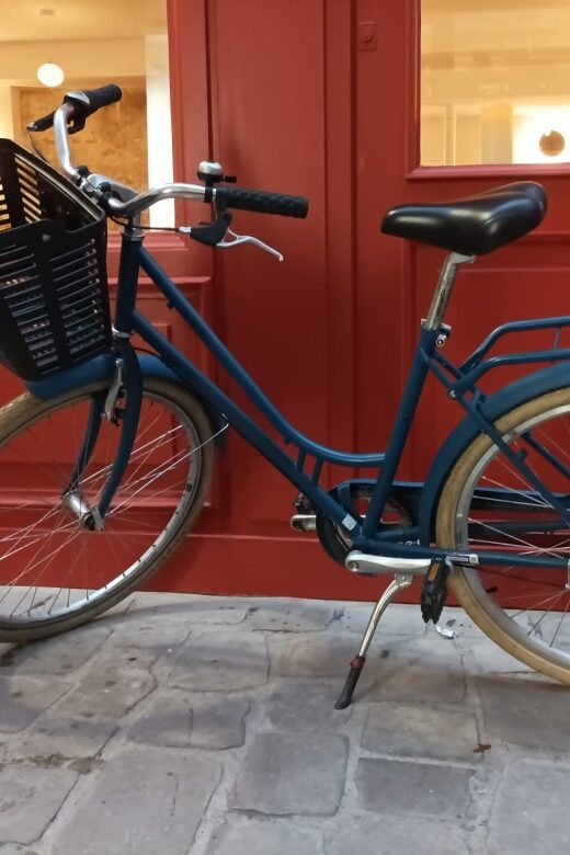 City bike rental in Paris (8h) - An Informative Look at the Paris Bike Rental Experience