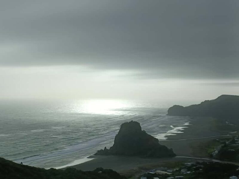 City & Coast & Country  A Relaxed Day Tour from Auckland - A Closer Look at the City & Coast & Country Day Tour from Auckland