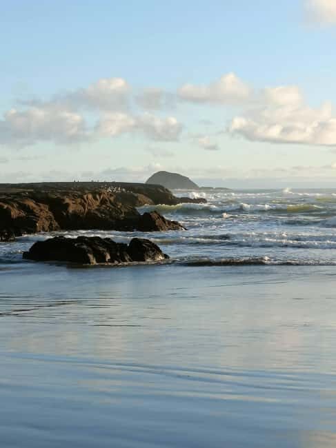 City & Coast & Country  A Relaxed Day Tour from Auckland - Key Points