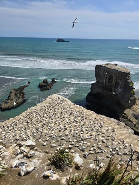 City & Coast & Country  A Relaxed Day Tour from Auckland - The Guide and Personal Touch