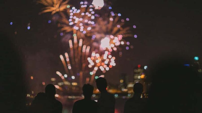 City Cruises Chicago: Seadog Speedboat Lake Firework Cruise - An Engaging Look at the Experience