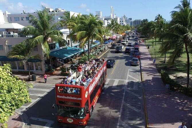 City Half Day Tour of Miami by Bus with Sightseeing Cruise - Practical Details and What You Should Know