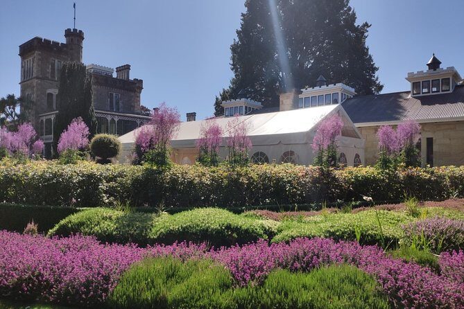 City Highlights, Larnach Castle & Peninsula Views - Introduction