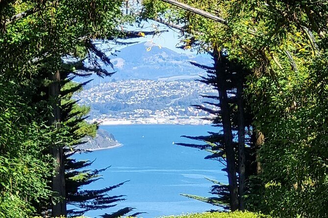 City Highlights, Larnach Castle & Peninsula Views - What’s Included and What to Expect