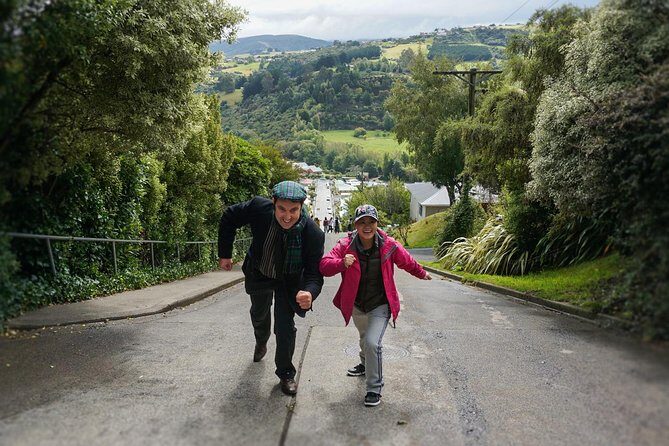 City Highlights, Larnach Castle & Peninsula Views - Authentic Insights from Reviews