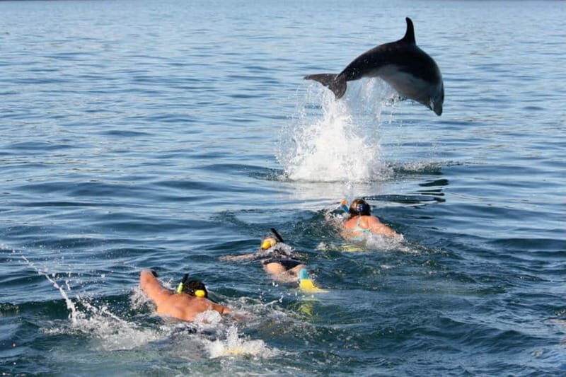 City Of Side: Dolphin Island Boat or Side Boat Tour Options - Practical Details and Tips