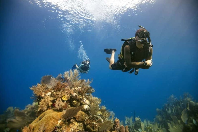 City of Side: Scuba Diving Underwater Museum with Pickup - Final Thoughts