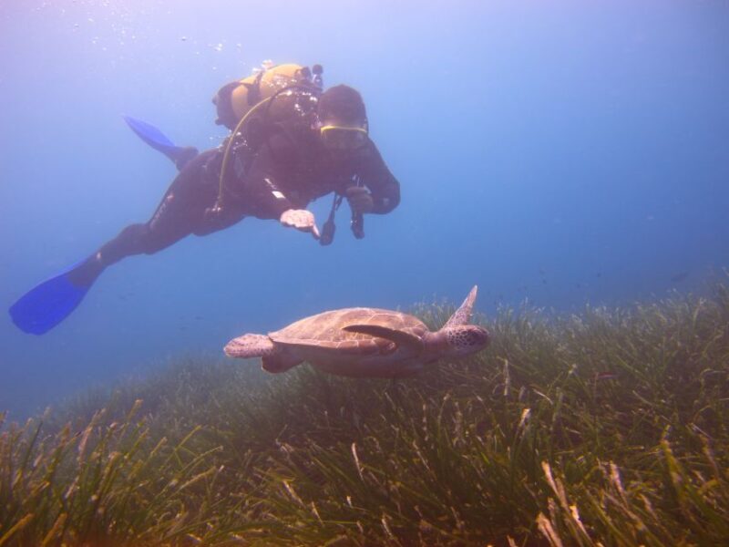 City of Side: Underwater Museum Scuba Diving Visit - Authentic Experiences from Fellow Travelers
