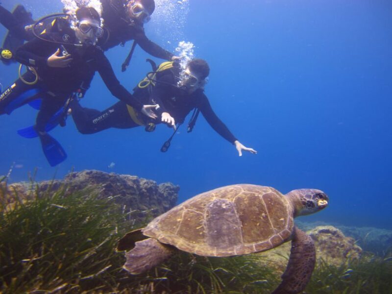 City of Side: Underwater Museum Scuba Diving Visit - Frequently Asked Questions