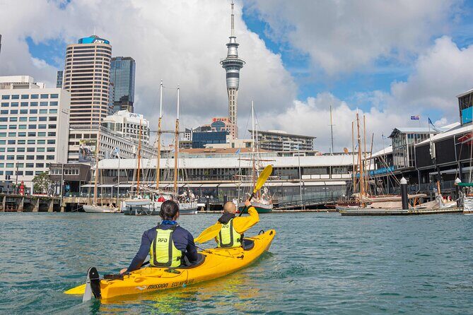 City Scenes Kayak Tour in Auckland - Explore the Waterfront - Who Should Consider This Tour?