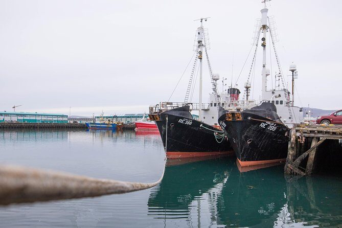 City Sightseeing Reykjavik Hop-On Hop-Off Bus Tour: 24 or 48-Hour - FAQs