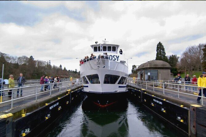 City Sightseeing Seattle HOHO Bus and Locks or Harbour Cruise - Authentic Insights from Travelers