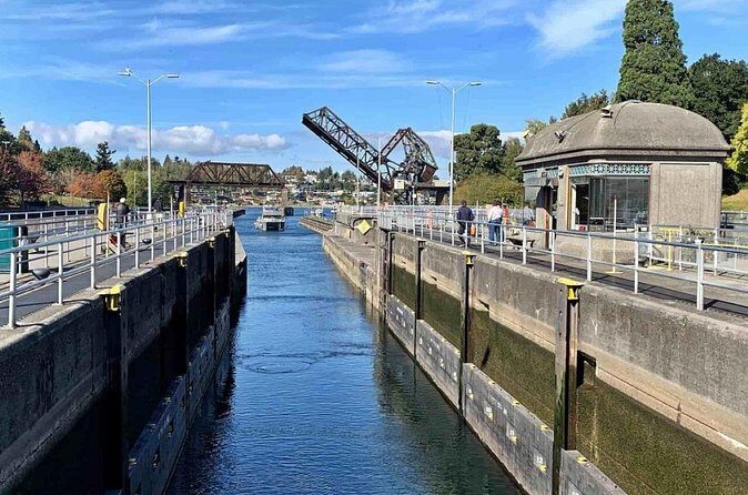 City Sightseeing Seattle HOHO Bus and Locks or Harbour Cruise - Practical Details That Matter