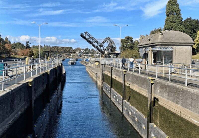 City Sightseeing Seattle: HOHO Bus Tour + Locks Cruise - Practical Considerations and Value