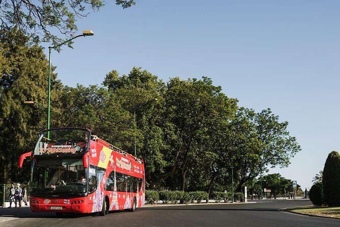 City Sightseeing Stavanger Hop-On Hop-Off Bus Tour - The Experience: What Travelers Can Expect