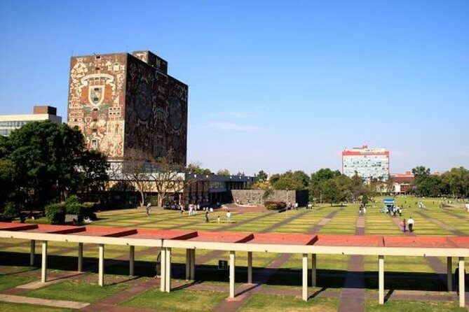 City Tour and Xochimilco Floating gardens - University City: Modern Academia and Murals