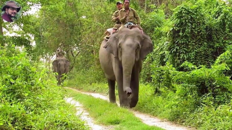 City Tour: Discover Aluthgama with Thrilling Adventures - Concluding Thoughts: Is This Tour Right for You?