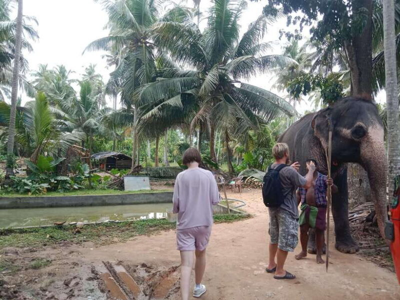 City Tour: Discover Aluthgama with Thrilling Adventures - FAQs
