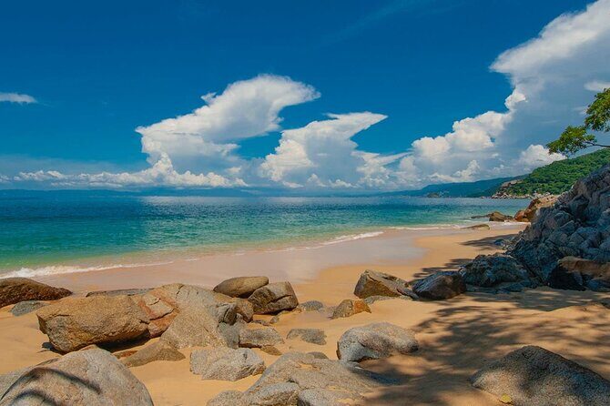 City Tour Express in Puerto Vallarta and Paradise Beaches - The Bay of Banderas: An Introduction to Puerto Vallarta’s Heart
