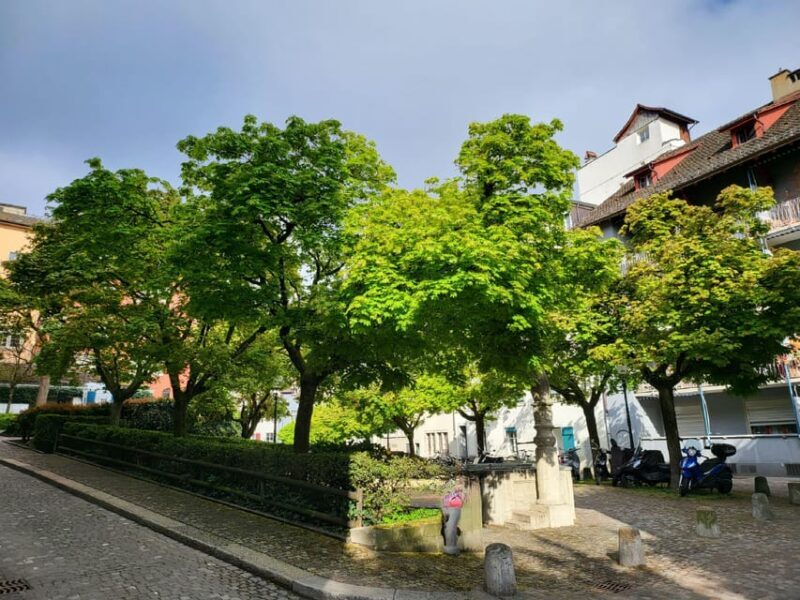 City tour historic old town Zurich - What Travelers Say