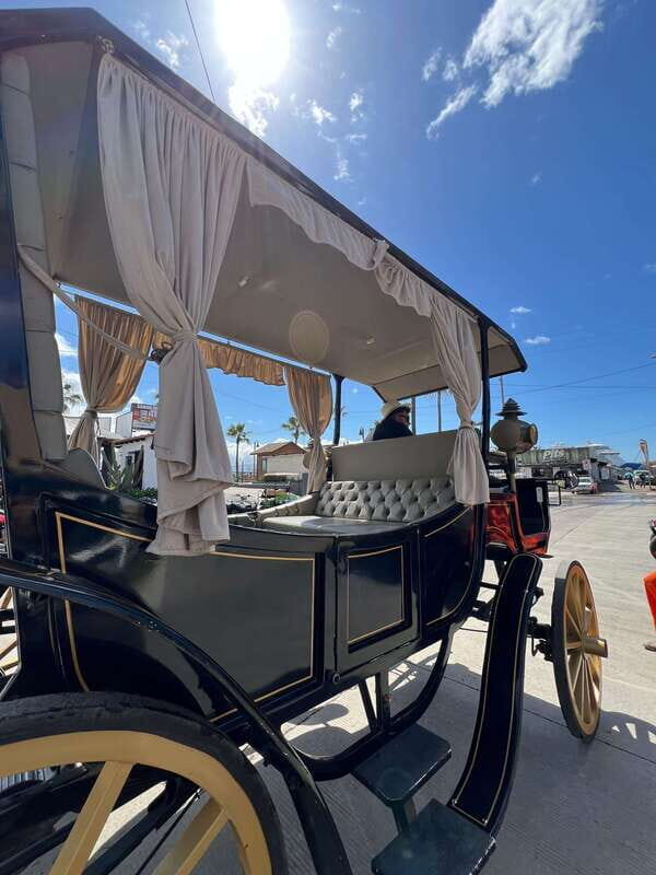City tour on electric horse wagon. - What to Expect During the Tour
