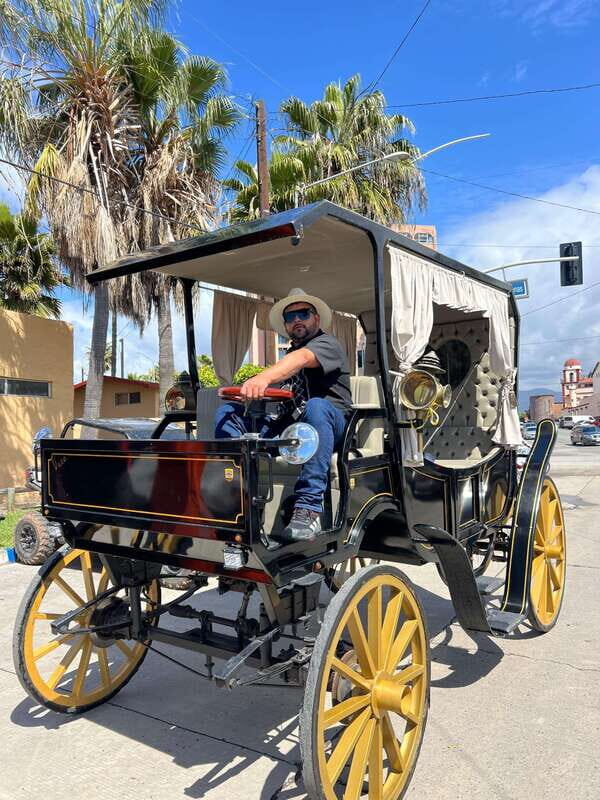 City tour on electric horse wagon. - The Realities: What Do People Say?