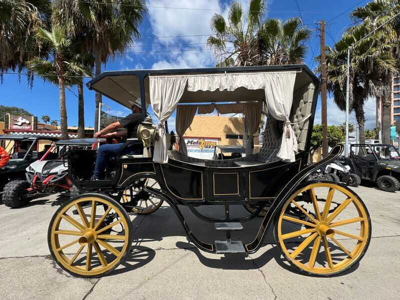 City tour on electric horse wagon. - Who Will Love This Tour?