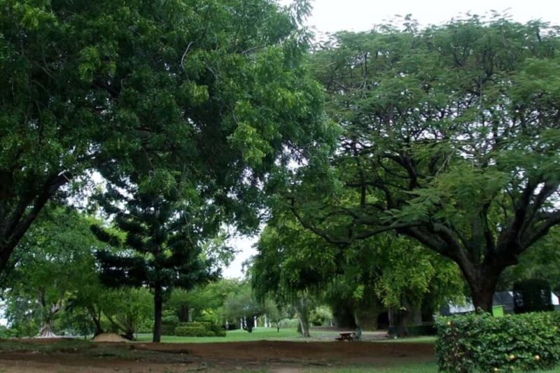 City Tour w/ Gardens, Volcano, Trafalgar Falls, Morne Bruce - An Authentic Introduction to Roseau and Beyond