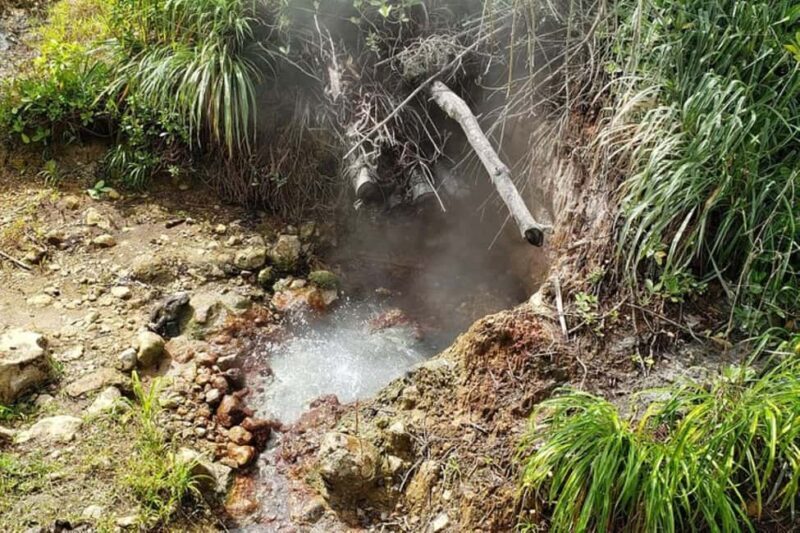 City Tour w/ Gardens, Volcano, Trafalgar Falls, Morne Bruce - Authentic Experiences That Stick