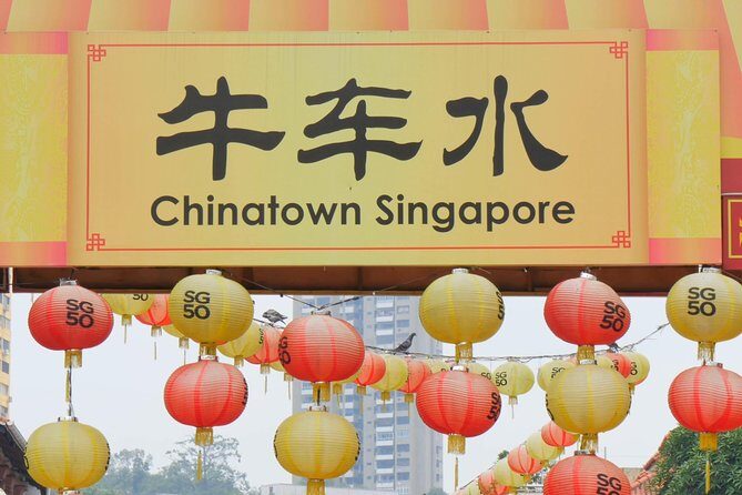 City Tour+Gardens by the Bay(FlowerDome&JurassicWorld) Transfers - Who Is This Tour Best For?