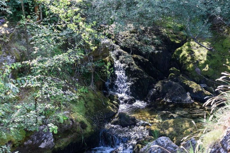 City Trip Struga and Vevchani from Ohrid and Struga - FAQs