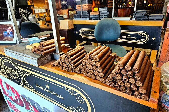 City Vibes & Bay Rides - Exploring Miami’s Neighborhoods