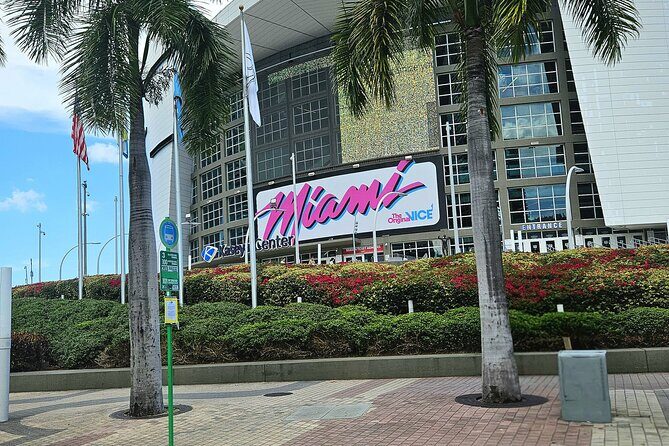 City Vibes & Bay Rides - Quality and Authenticity