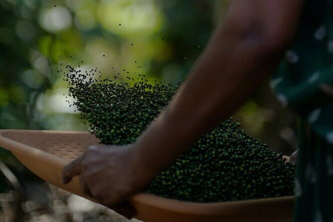 City Walk and Food Crawl in Kumarakom - A Closer Look at the Tour Itinerary