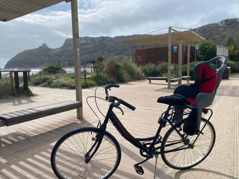 CITYBIKE/ easy Classic FOR 24 hours with Free delivery! - Detailed Breakdown of the Itinerary